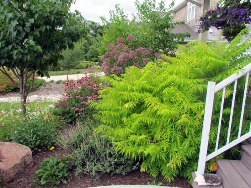 Giving your garden some structure - Winnipeg Free Press Homes