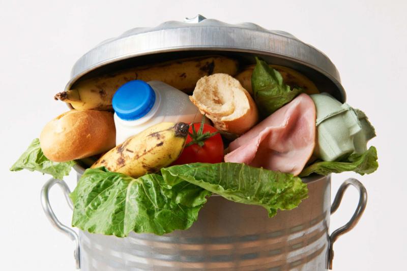 New campaign aims to reduce alarming food waste in Canada - Winnipeg ...