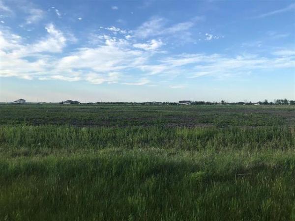 Basement telepost adjustment best left for the pros - Winnipeg Free ...