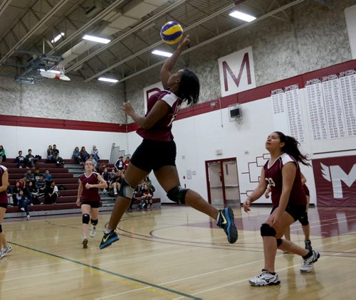 The Winnipeg Free Press Store